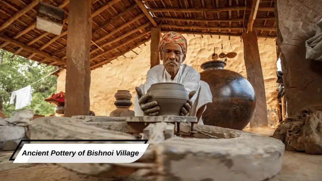 Bishnoi Village Safari Jodhpur - One Day Tour 2026